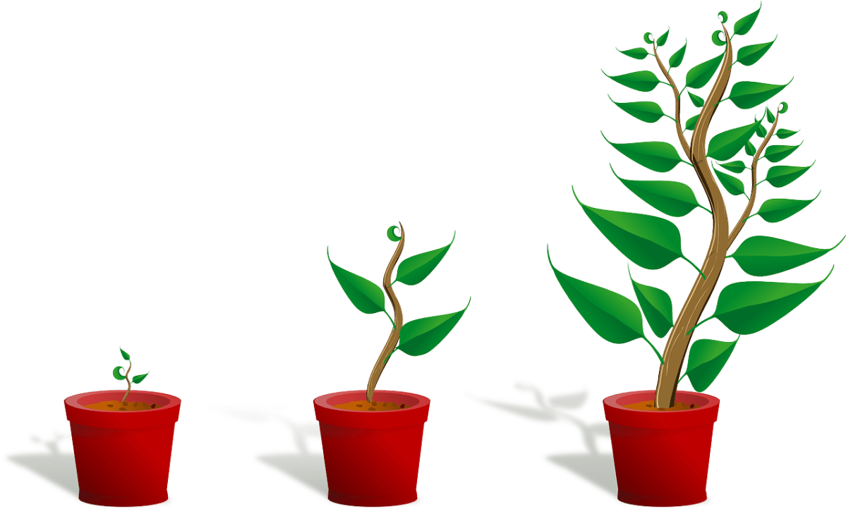 Razvojna mapa, II deo (13-36 meseci) – Pitajte Defektologa